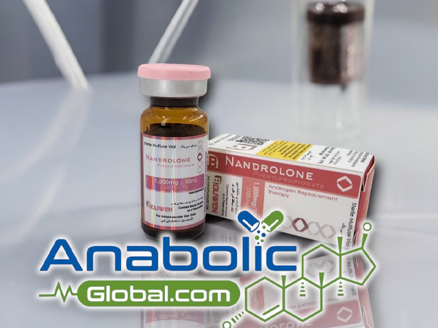 Nandrolone Phenylpropionate 1000mg / 10ml (100mg / ml) - Anabolic Global
